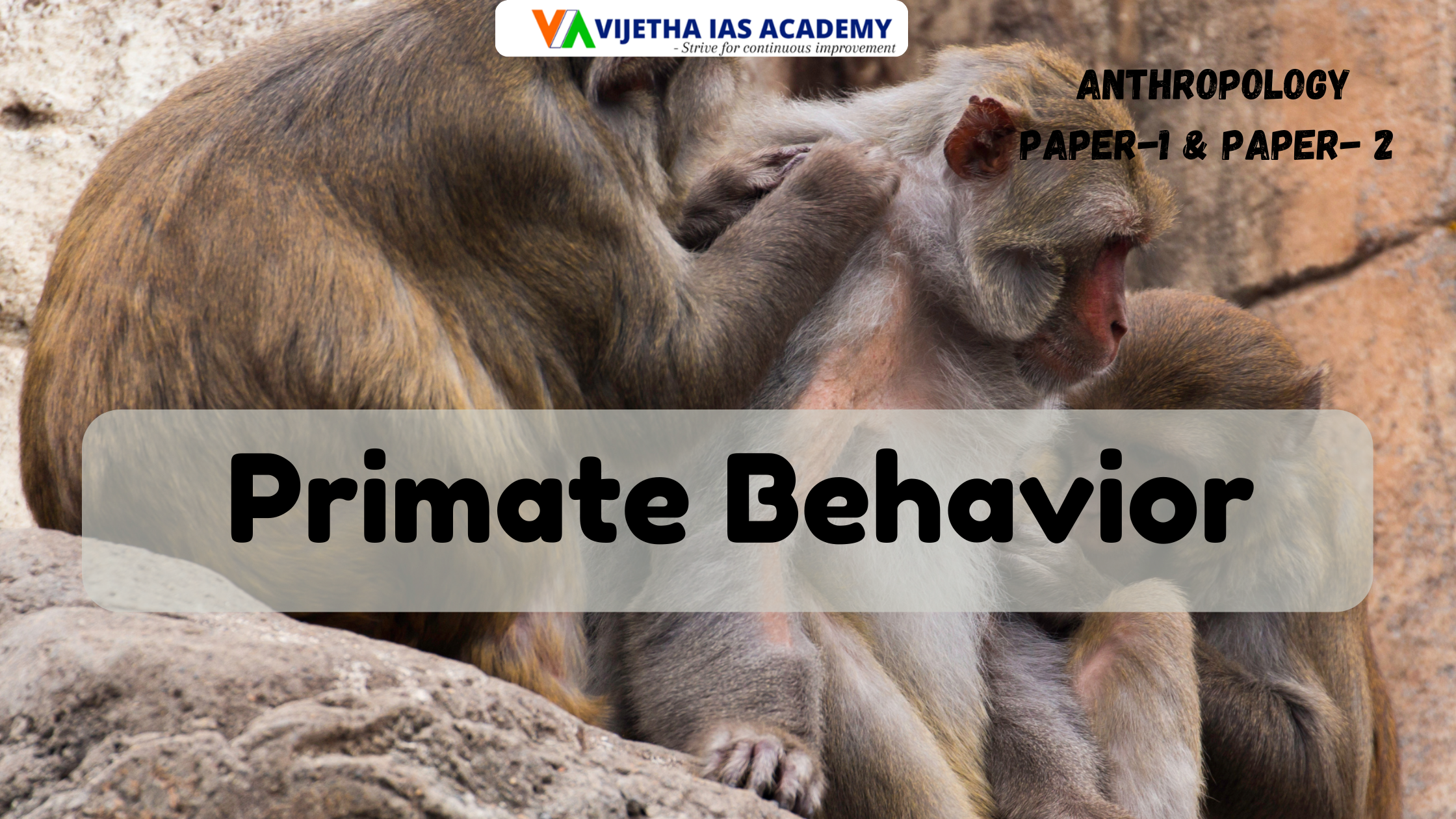 Primate Behavior? Explained for UPSC | Vijetha IAS Academy