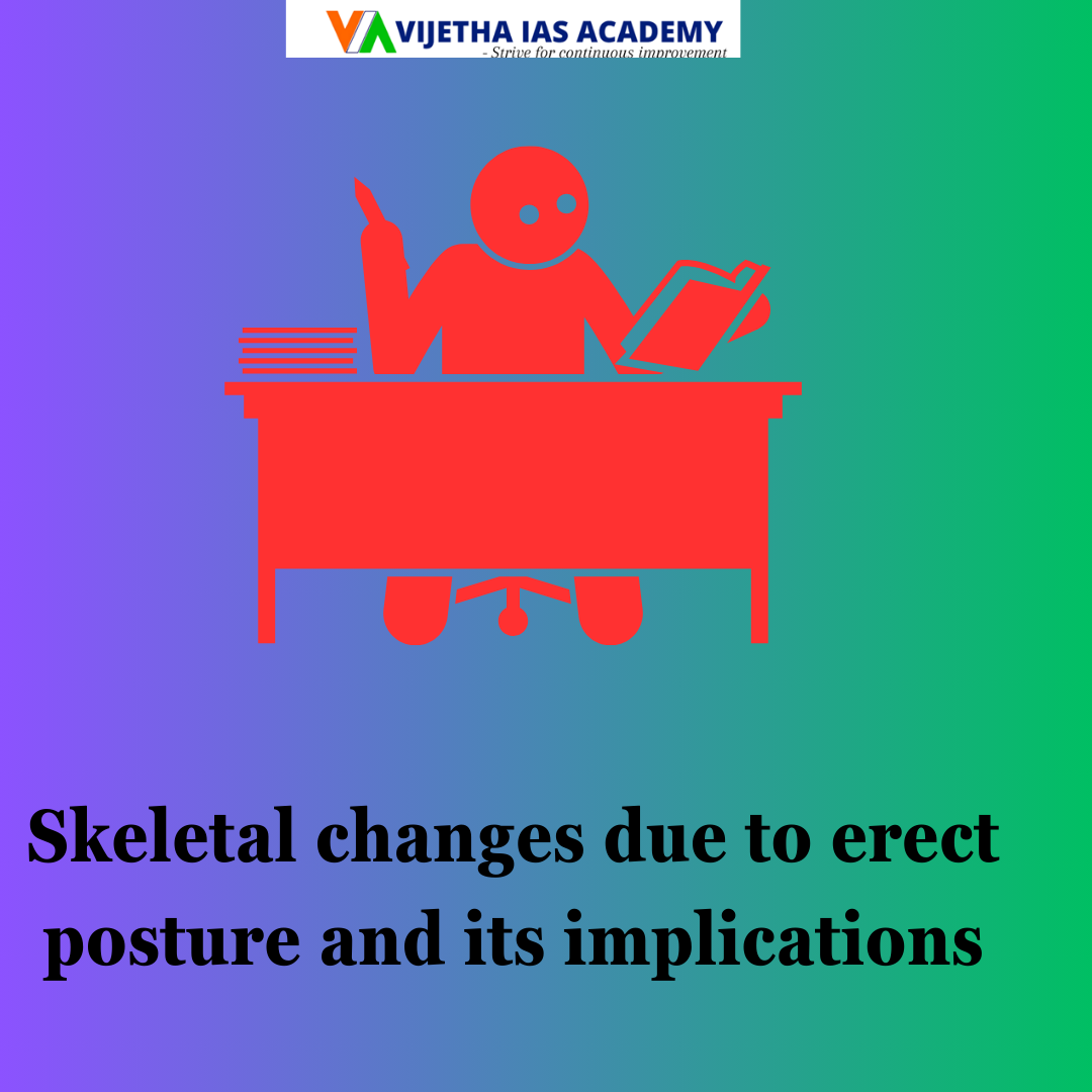 Skeletal changes due to erect posture and its implications? Explained ...