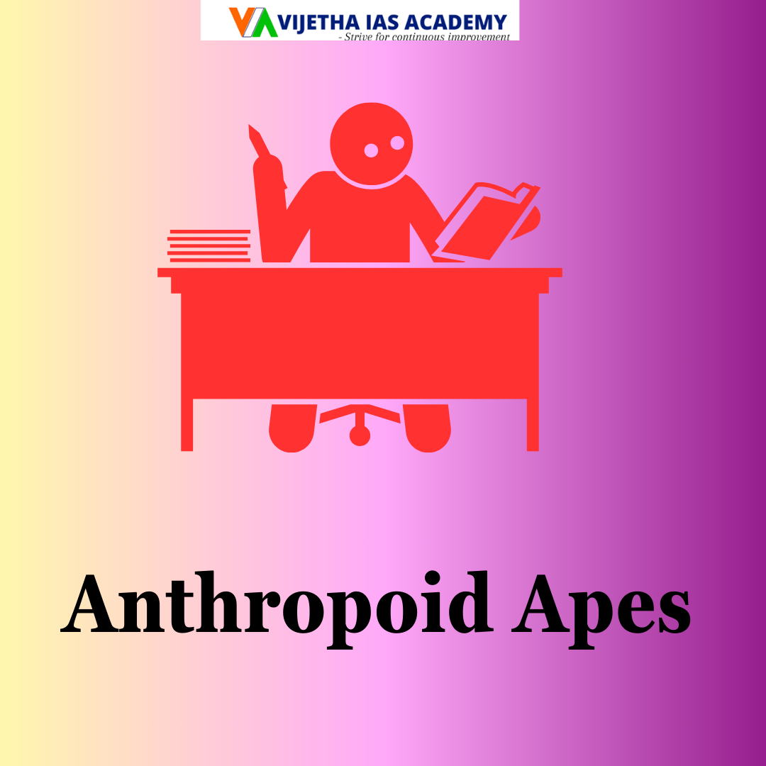 Anthropoid Apes? Explained for UPSC | Vijetha IAS Academy