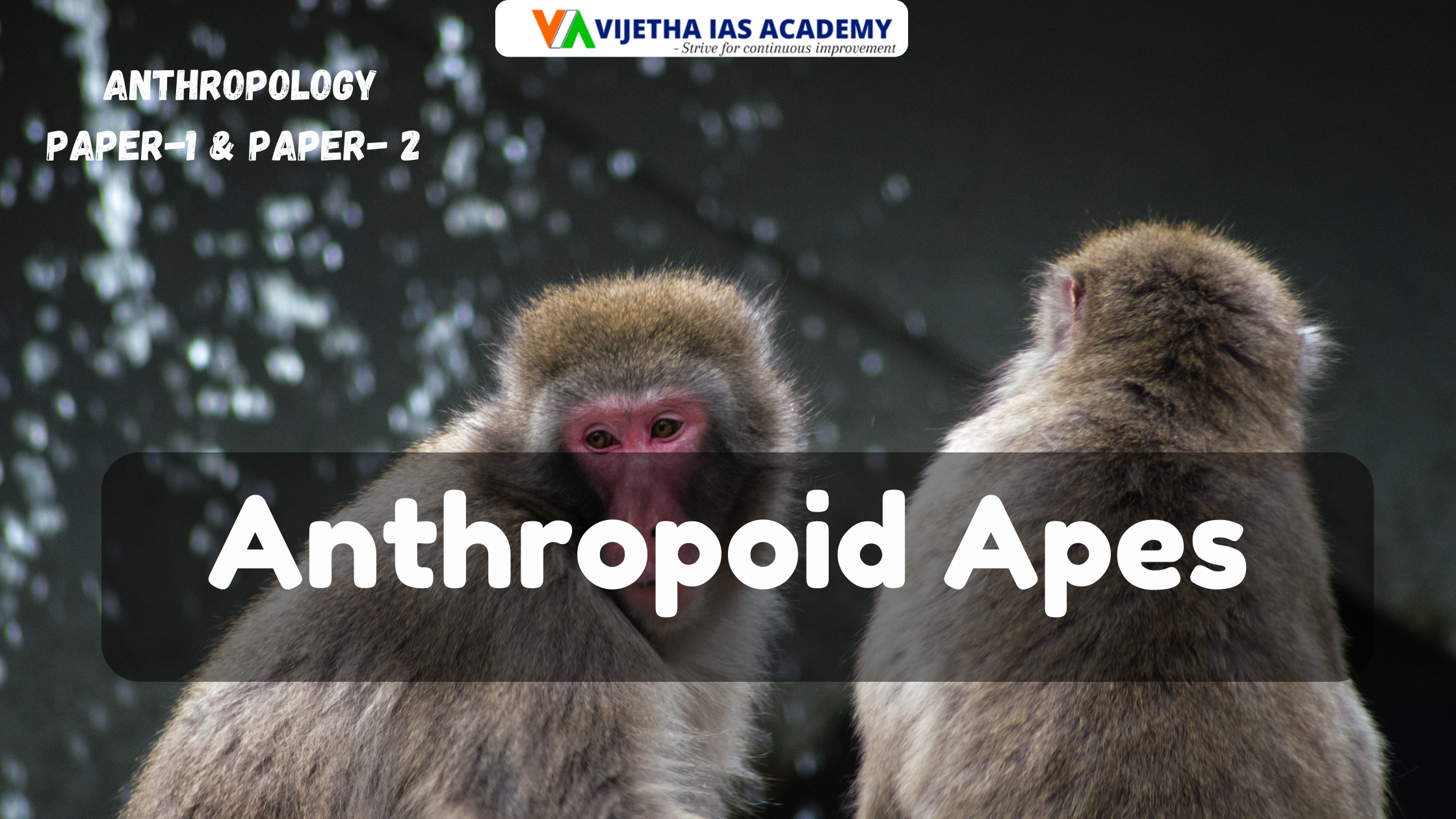 Anthropoid Apes? Explained for UPSC | Vijetha IAS Academy