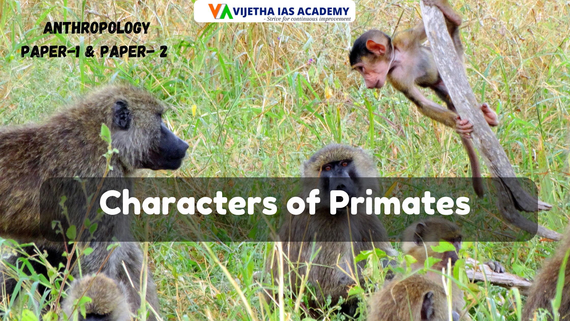Characters of Primates? Explained for UPSC | Vijetha IAS Academy