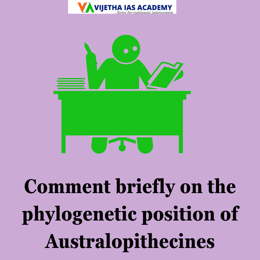Comment briefly on the phylogenetic position of Australopithecines ...