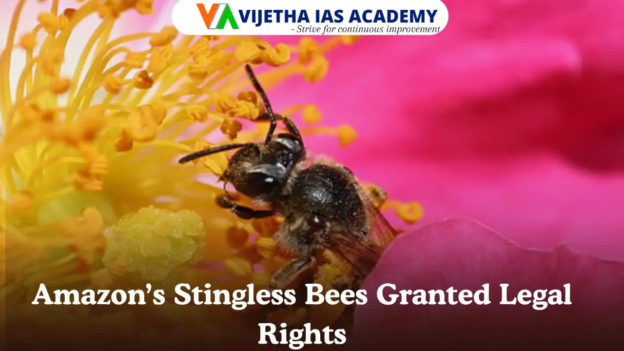 Amazon’s Stingless Bees Granted Legal Rights