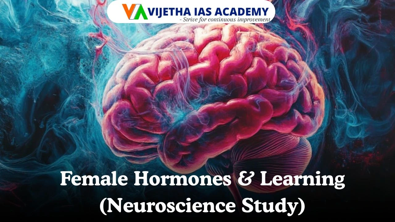How Female Hormones Influence Learning: Insights from a Neuroscience Study