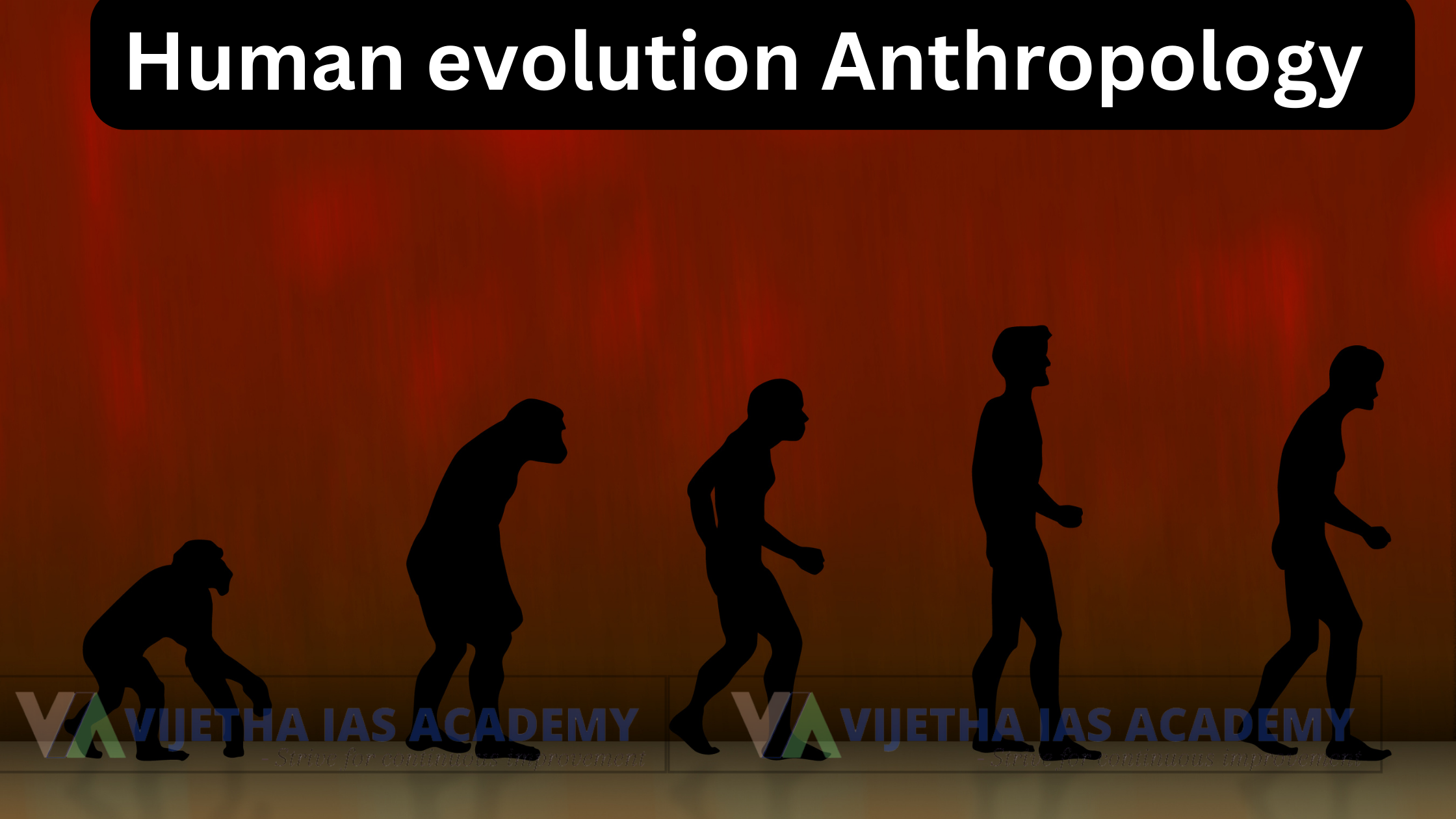 Human evolution Anthropology Optional UPSC