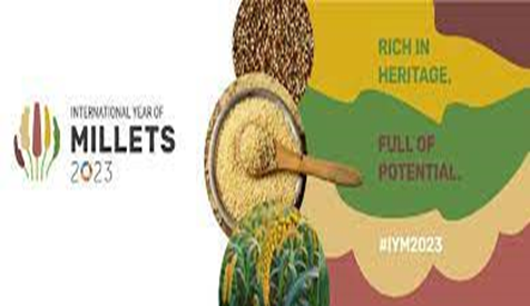 Millets Experience Center